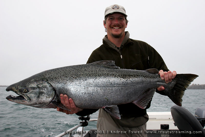 Columbia River Salmon Fishing: Find Sports Fishing Charters in WA & OR Columbia River Salmon Fishing: Find Sports Fishing Charters in WA & OR